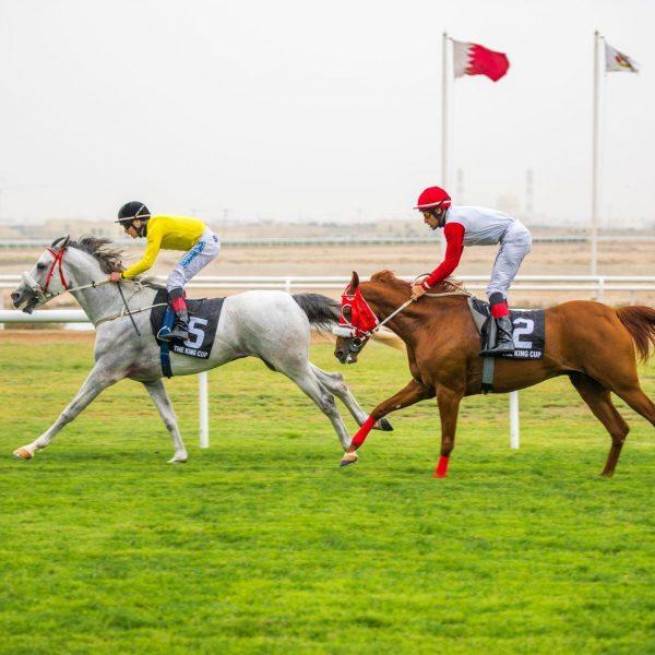 Rashid Equestrian & Horse Racing Club | Point Bahrain